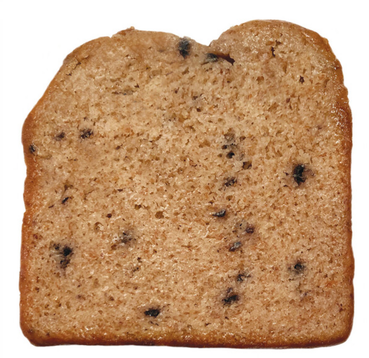 Blueberry Bread Slices – Guinther's